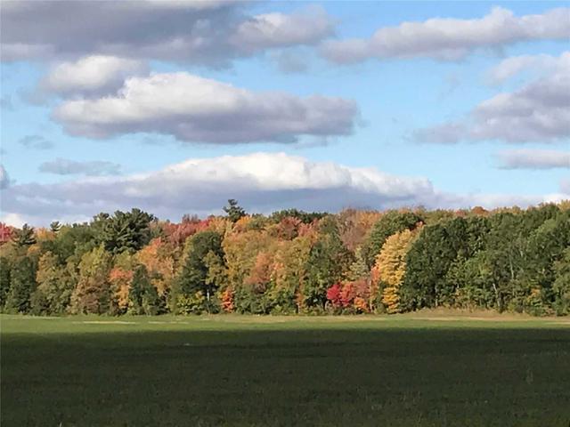 740 Sturgeon Point Rd, Fenelon Falls ON | Property.ca