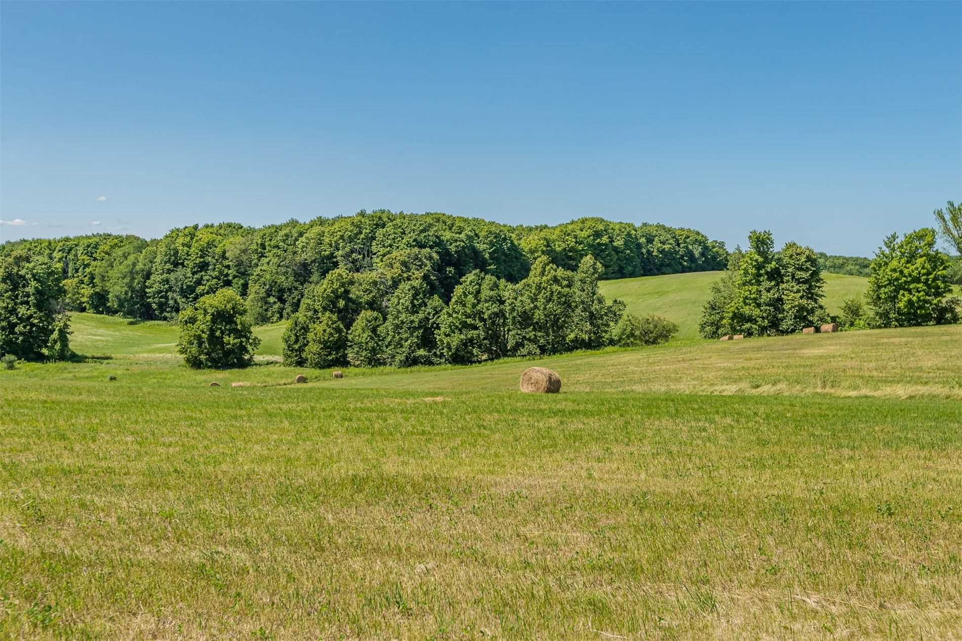14900 11th Concession Rd Nobleton Sold N4864269 Condos ca 14900-11th-concession-rd-nobleton-sold-n4864269-condos-ca