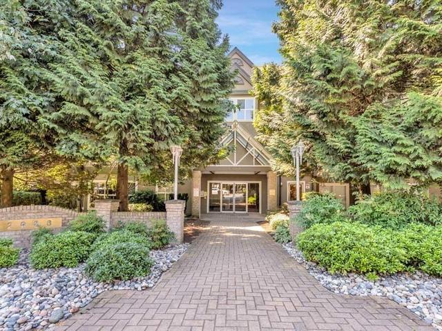 208 - 12088 66 AVENUE, Surrey | Terminated, R2710644 | Condos.ca