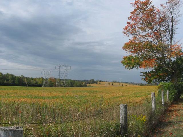 809 Larmer Line, Millbrook, ON | MrLOFT.ca