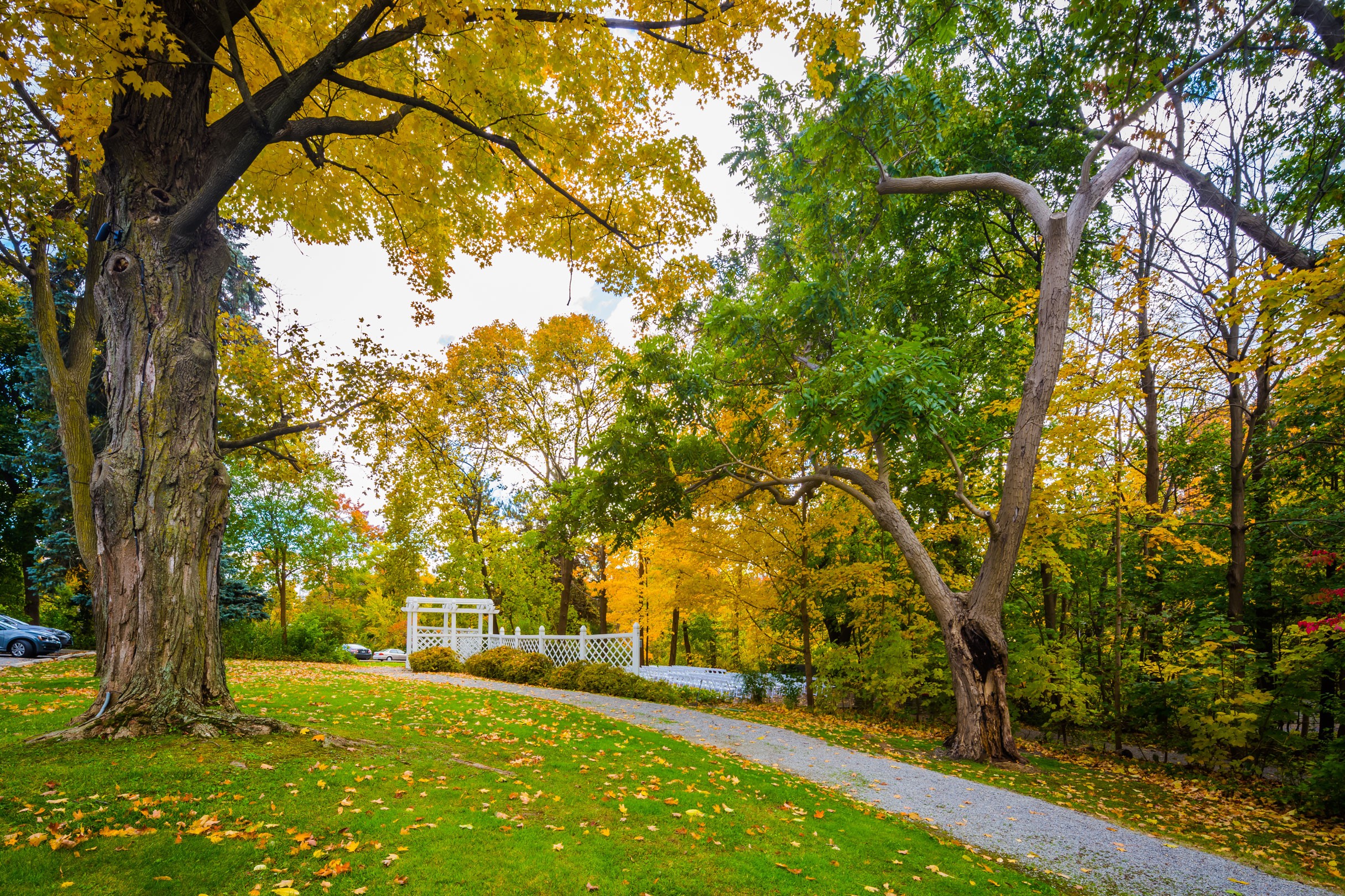 Condos For Sale in Bridle Path | Sunnybrook | York Mills | Condos.ca